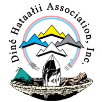 DHA and MMA reject NGDC’s government reform proposal – Diné Hataałii ...